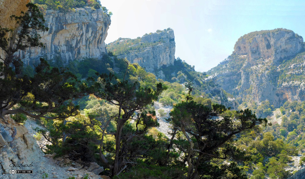 S'istrada Longa (Baunei - Ogliastra) | Sardegna: un'isola da esplorare ...